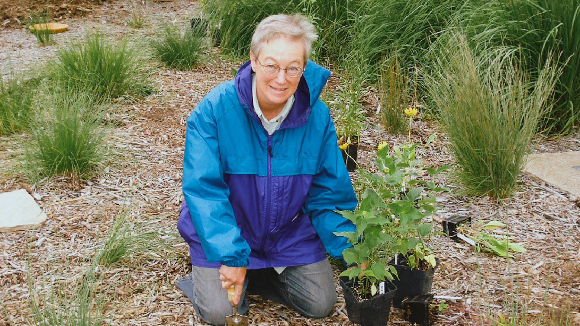 The Living Legacy of Dr. Judith Scoville
